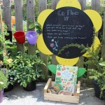 How to home ed – 9 fun ideas to do at home. – Mama's Den